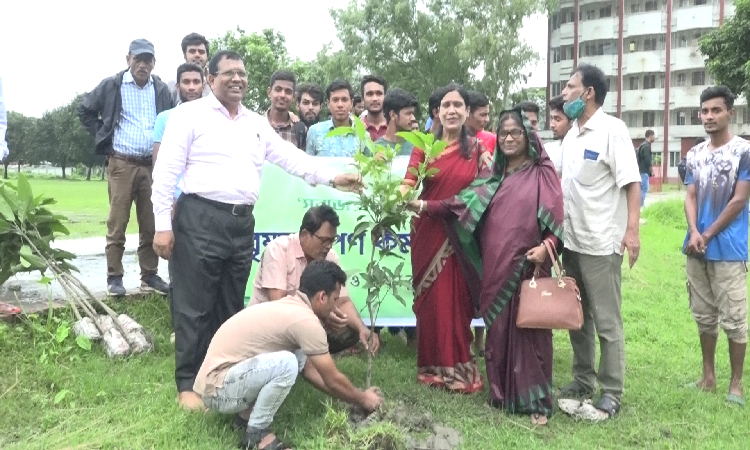 কুড়িগ্রামে সপ্তাহব্যাপী বৃক্ষরোপণ কর্মসূচি শুরু